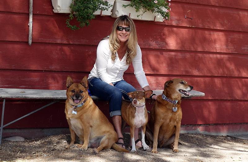 World Spay Day is Tuesday, February 22 – All Things Lake Chelan