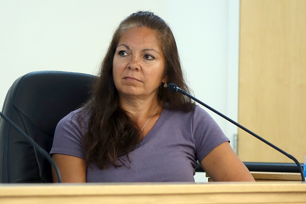 Council approves zoning change for Apple Blossom Center – All Things ...