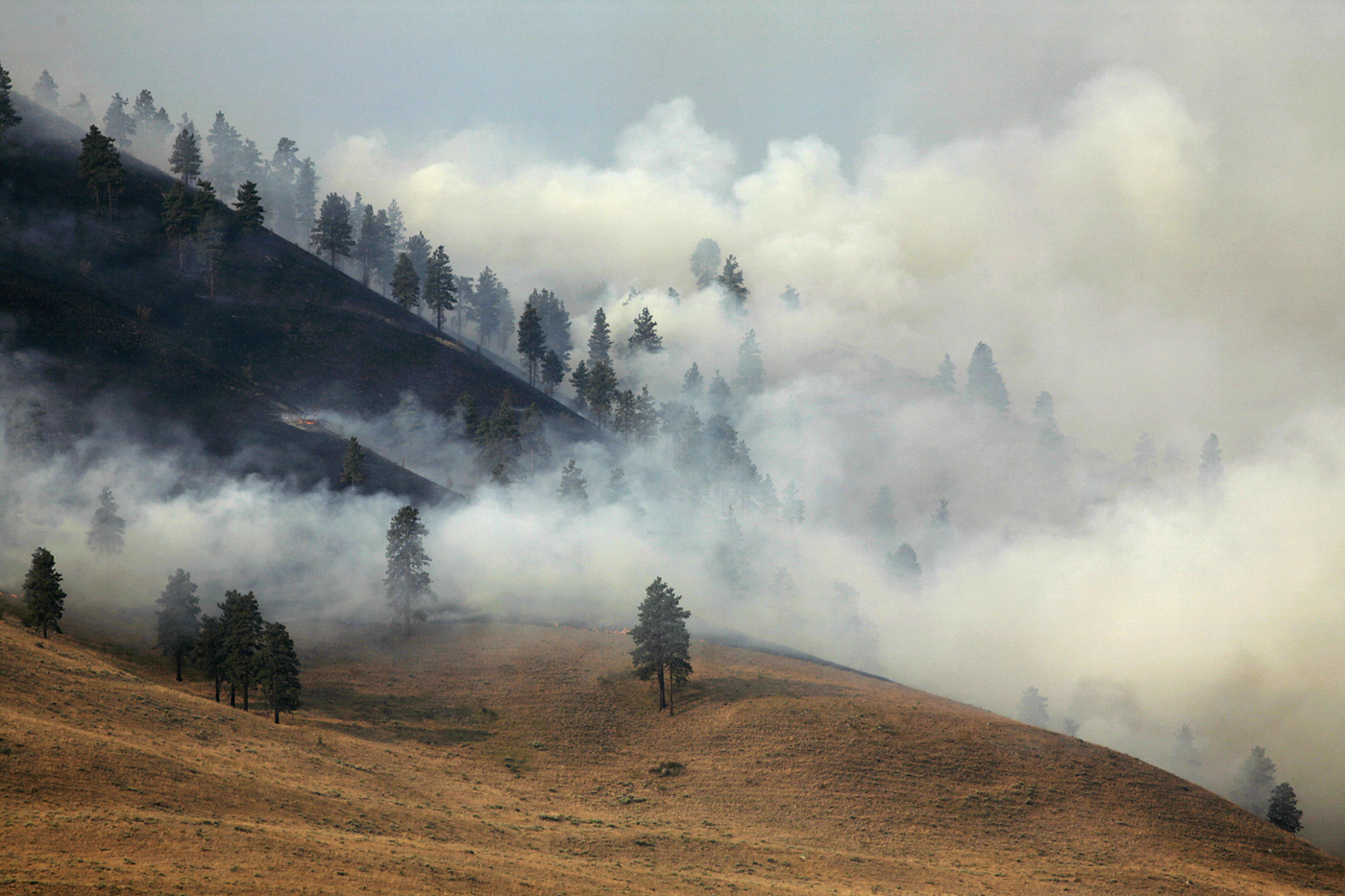 Morse issues warning about fire danger – All Things Lake Chelan