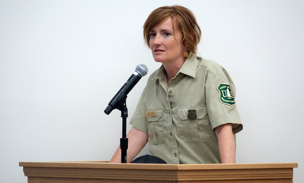 New District Ranger introduces herself to council members – All Things ...