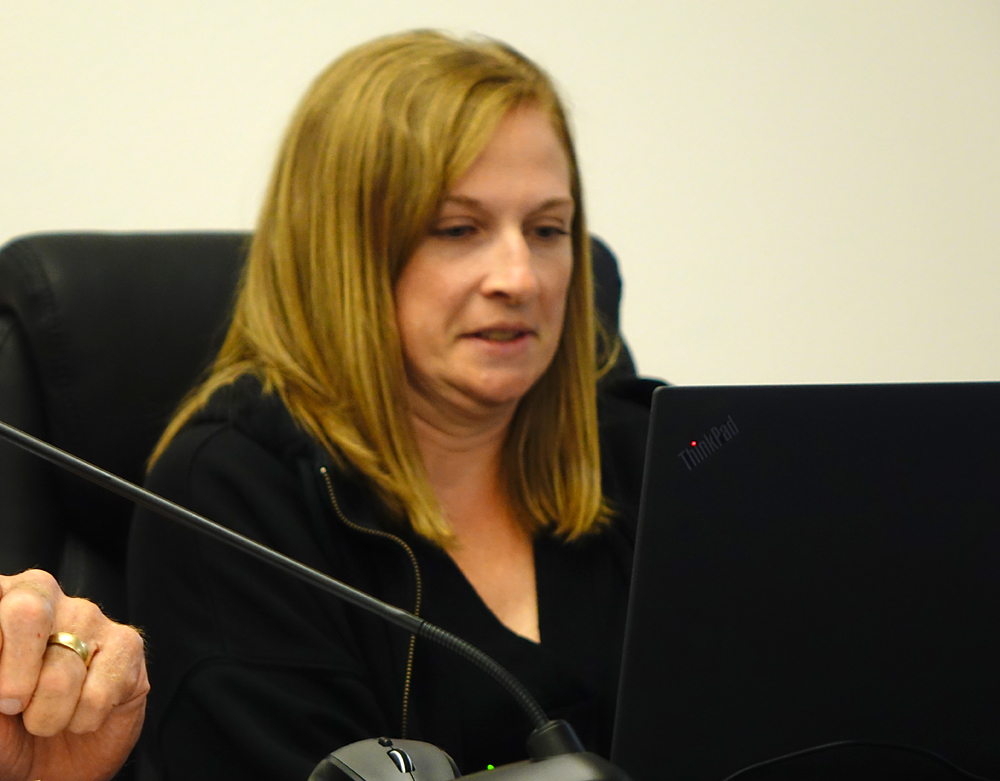 BRIDGE JUMPING AND HOUSING ISSUES FACE CITY COUNCIL – All Things Lake ...